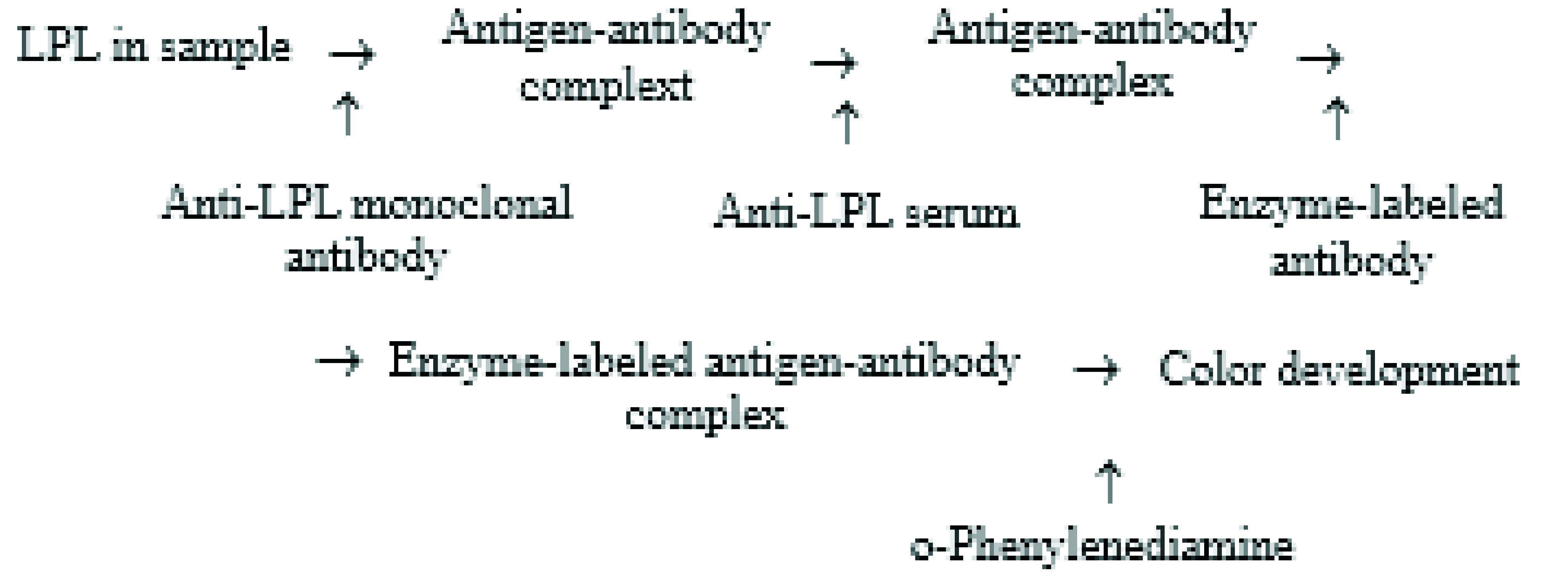 Lipoprotein lipase (LPL) ELISA